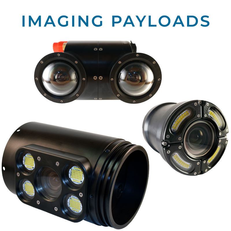 Home [arcticrays.com]